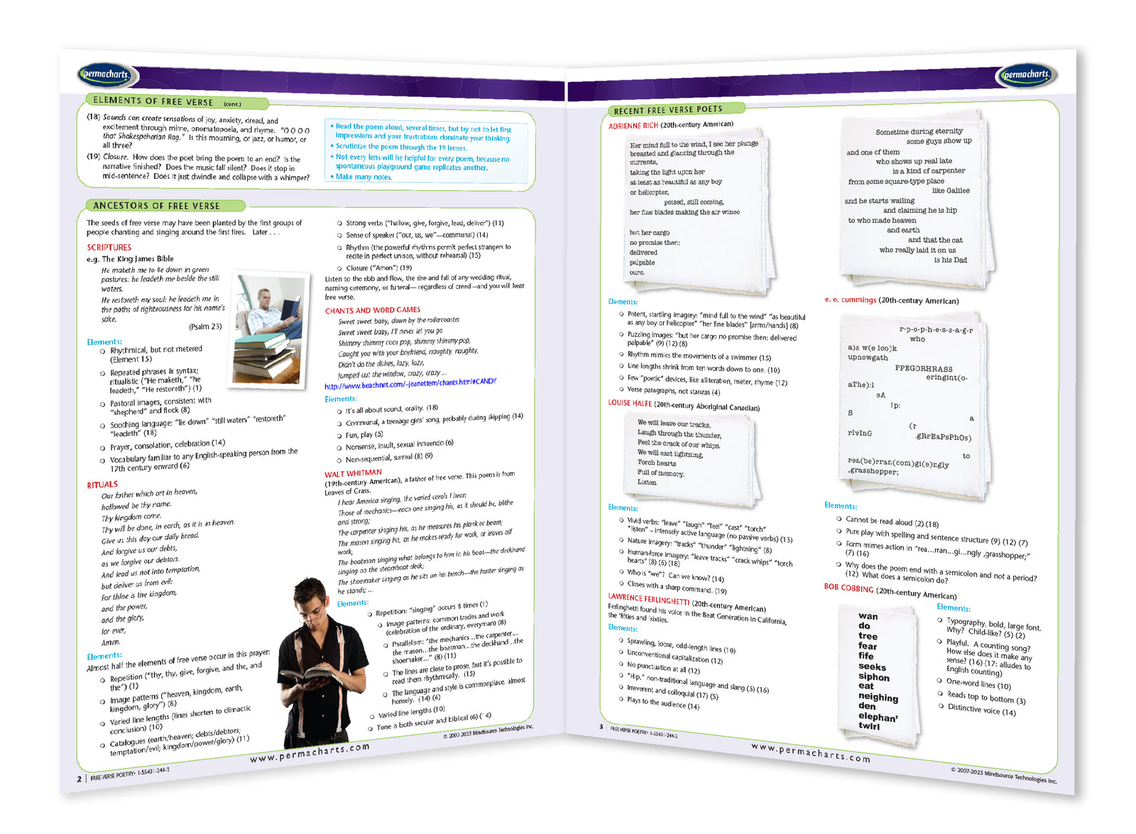 Free Verse Poetry Guidelines - Quick Reference Resource – Permacharts.com