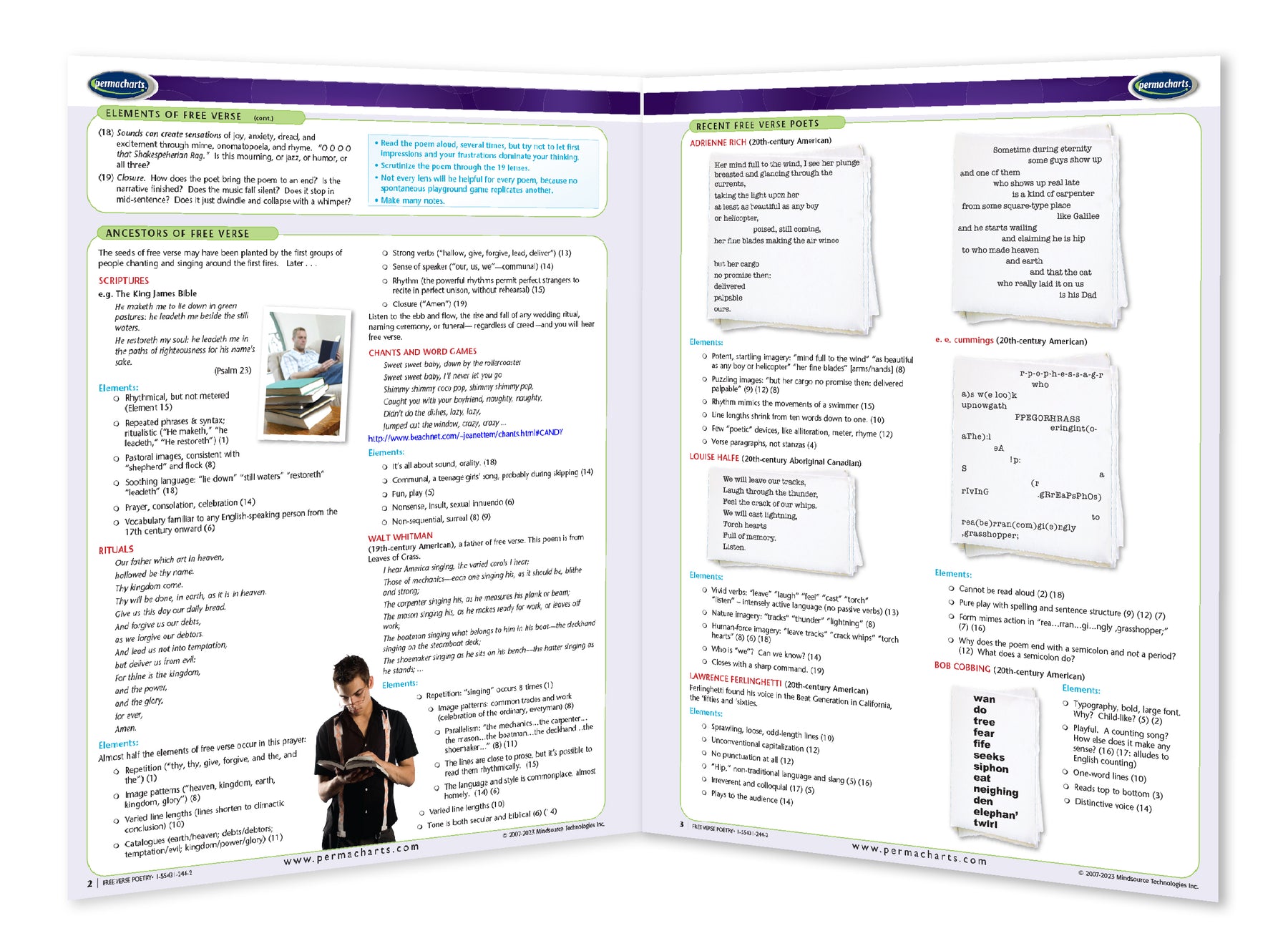 Free Verse Poetry Guidelines - Quick Reference Resource – Permacharts.com