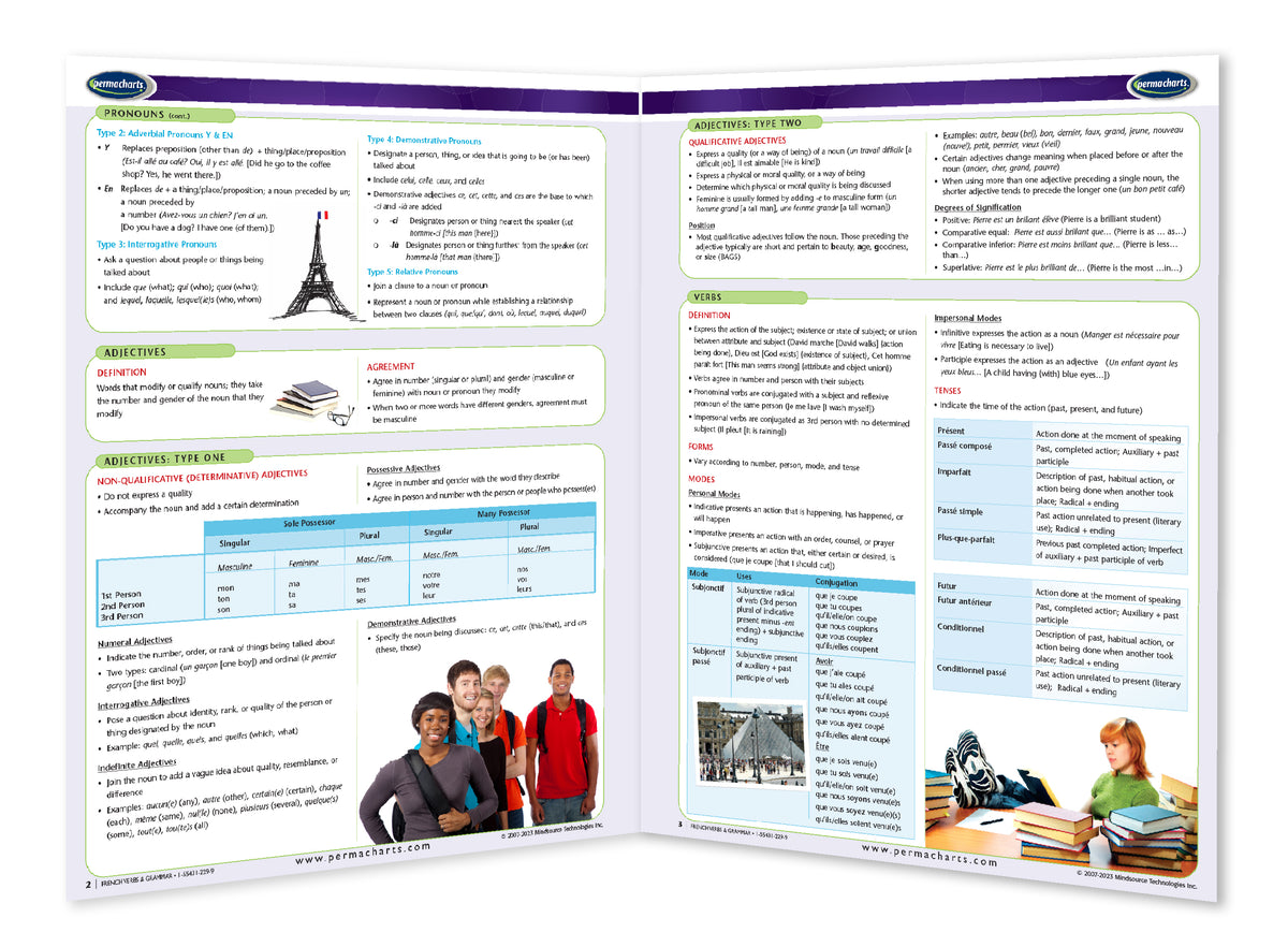 French Verbs Grammar Rules - Quick Reference Guide – Permacharts.com