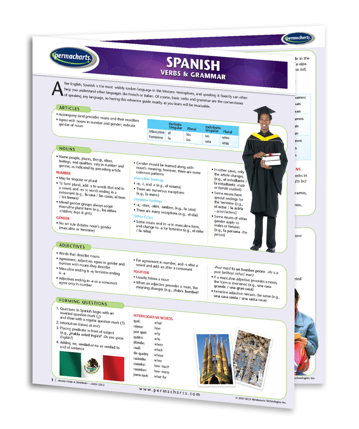 Spanish Verbs and Grammar - Quick Reference Guide – Permacharts.com