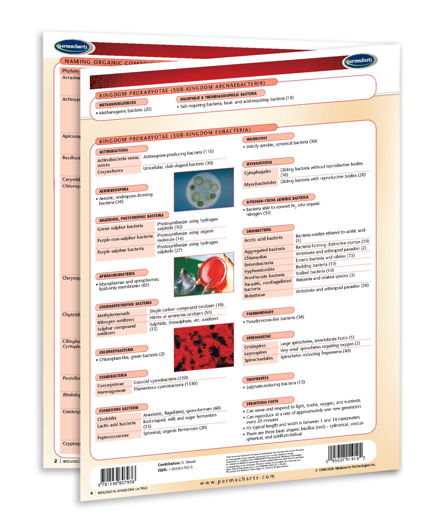 Biological Kingdoms Quick Reference Guide - Biology Study Aid ...