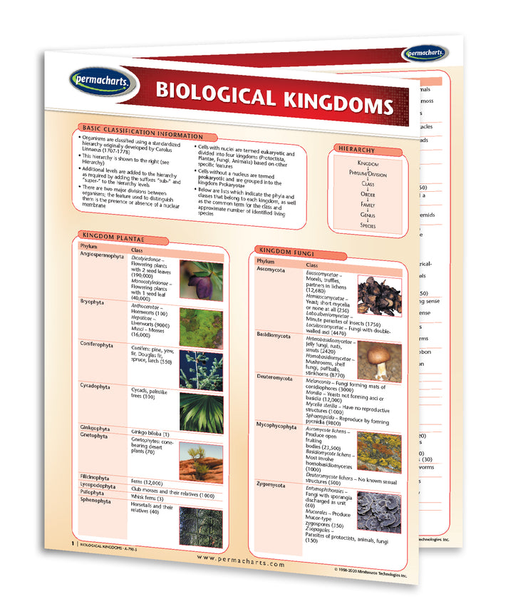 Biological Kingdoms Quick Reference Guide - Biology Study Aid ...