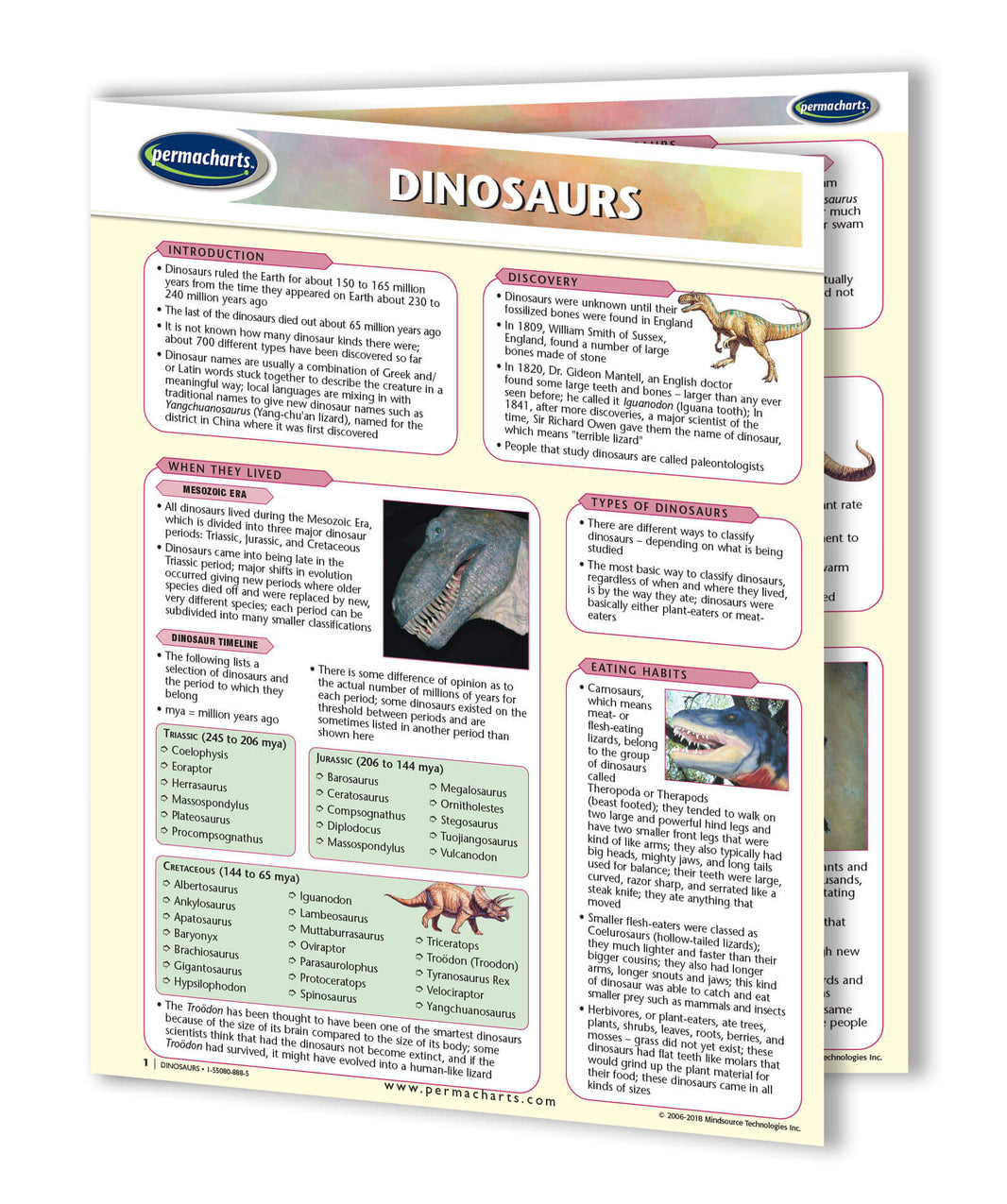 Dinosaurs Evolution Theory - Quick Reference Guide – Permacharts.com