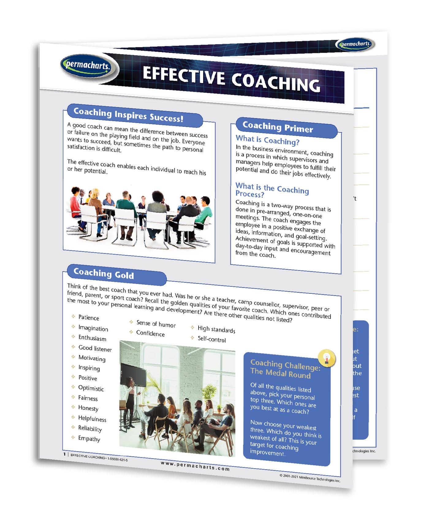 Effective Coaching Techniques - Quick Reference Guide – Permacharts.com