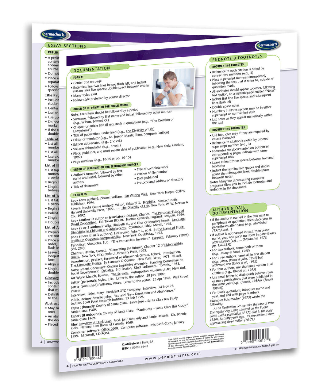 Making Great Essay - Quick Reference Guide – Permacharts.com