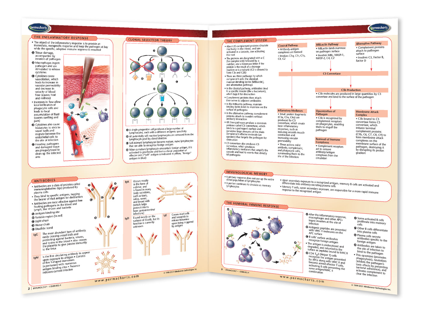 Immunology Study Guide - Quick Reference Resource – Permacharts.com