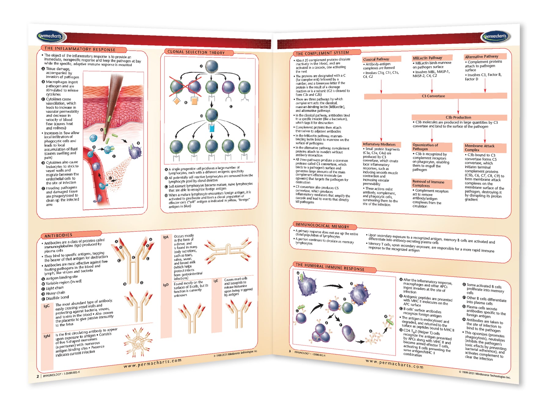 Immunology Study Guide - Quick Reference Resource – Permacharts.com