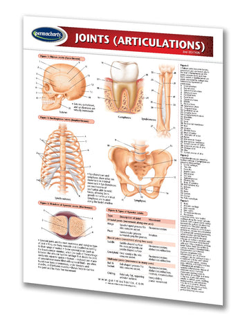 Medical Reference Charts and Anatomy Charts - Quick Reference Guides ...