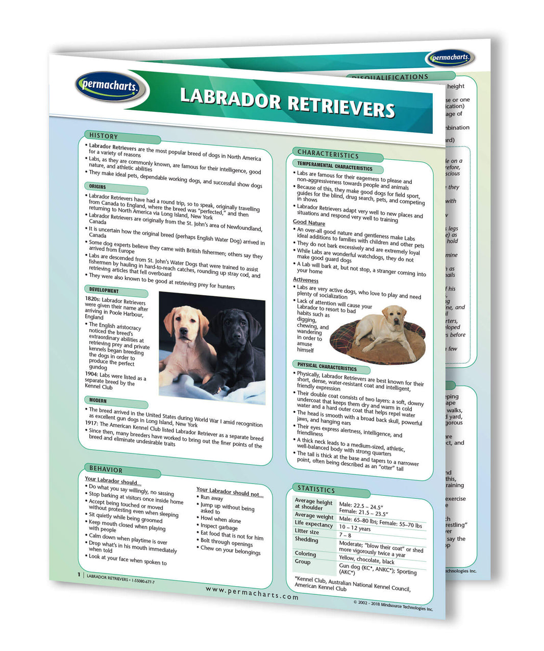 Labrador Retrievers Guide - Quick Reference Resource – Permacharts.com
