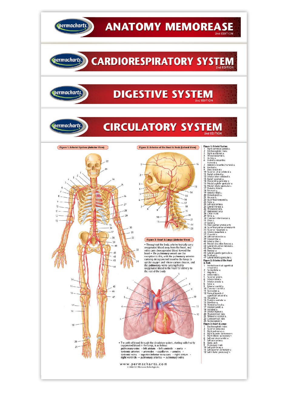 Medical Reference Charts and Anatomy Charts - Quick Reference Guides ...