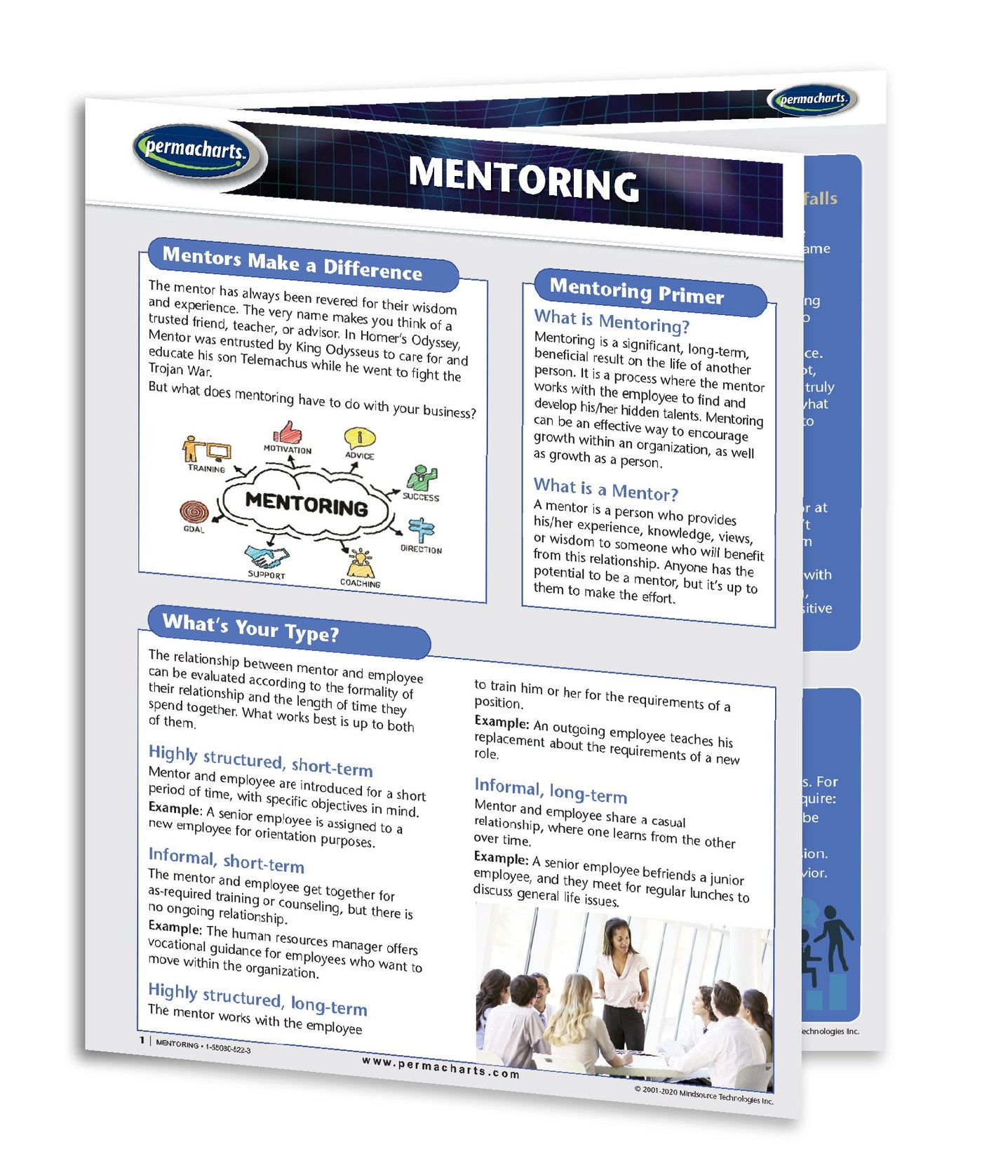 Mentoring Matters Study Guide - Quick Reference Resource – Permacharts.com