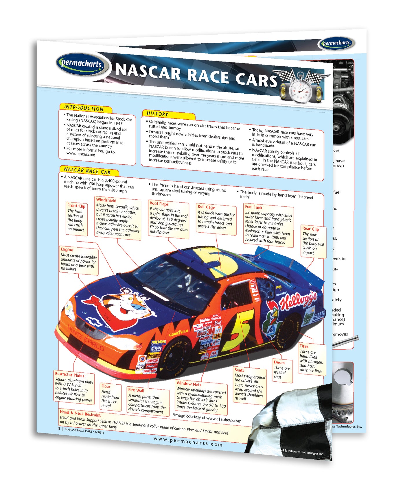 NASCAR Race Cars - Quick Reference Resource – Permacharts.com