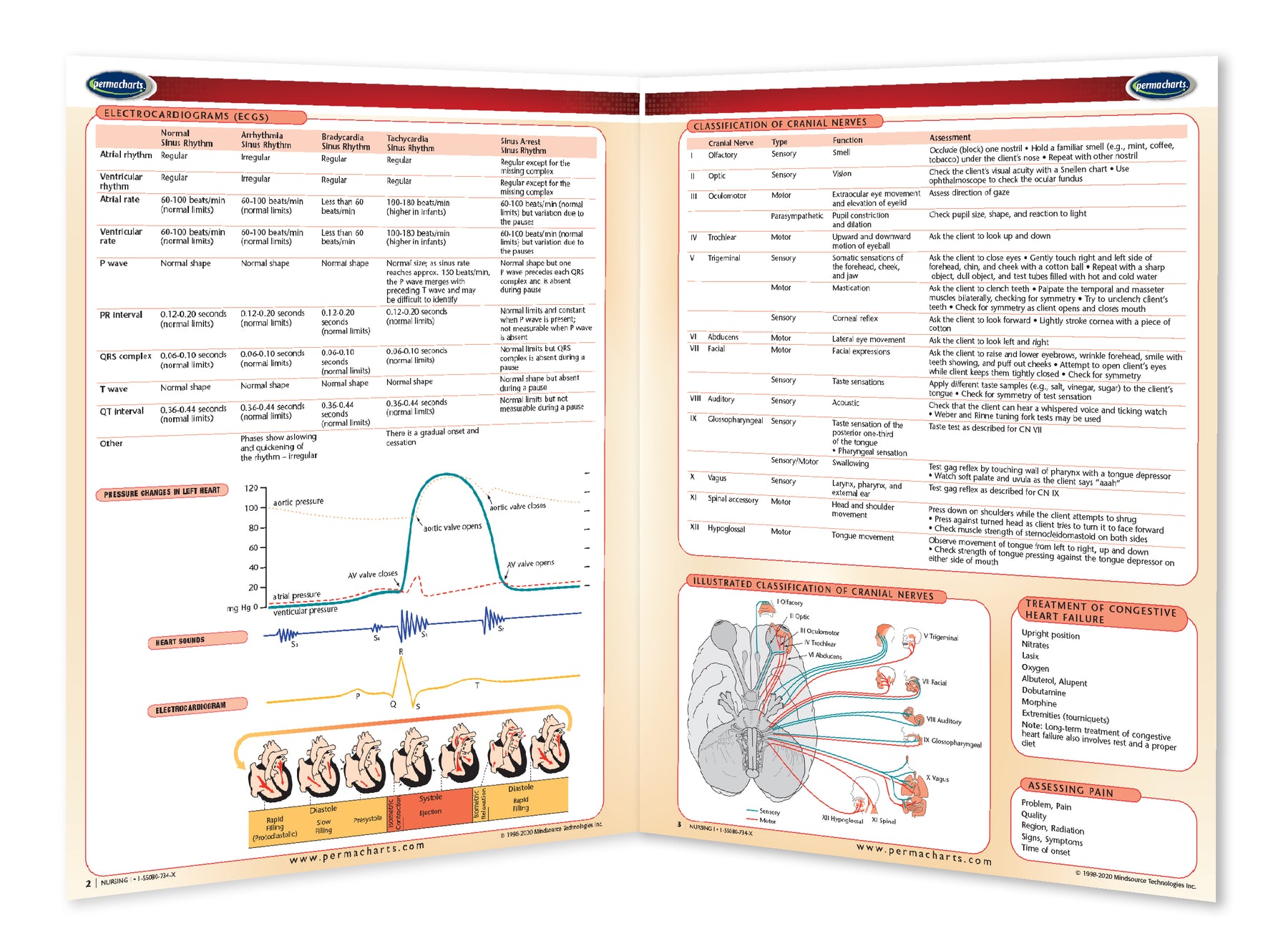 Nursing Study Guide I - Quick Reference Resource – Permacharts.com