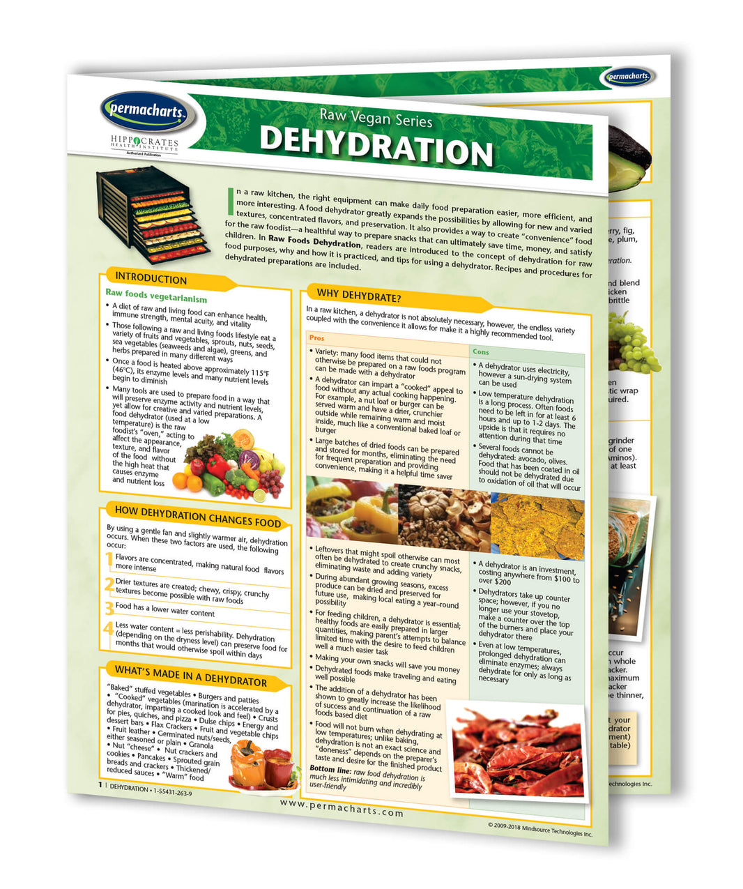 Food Dehydration Guide - Quick Reference Guide to Preserving Food ...