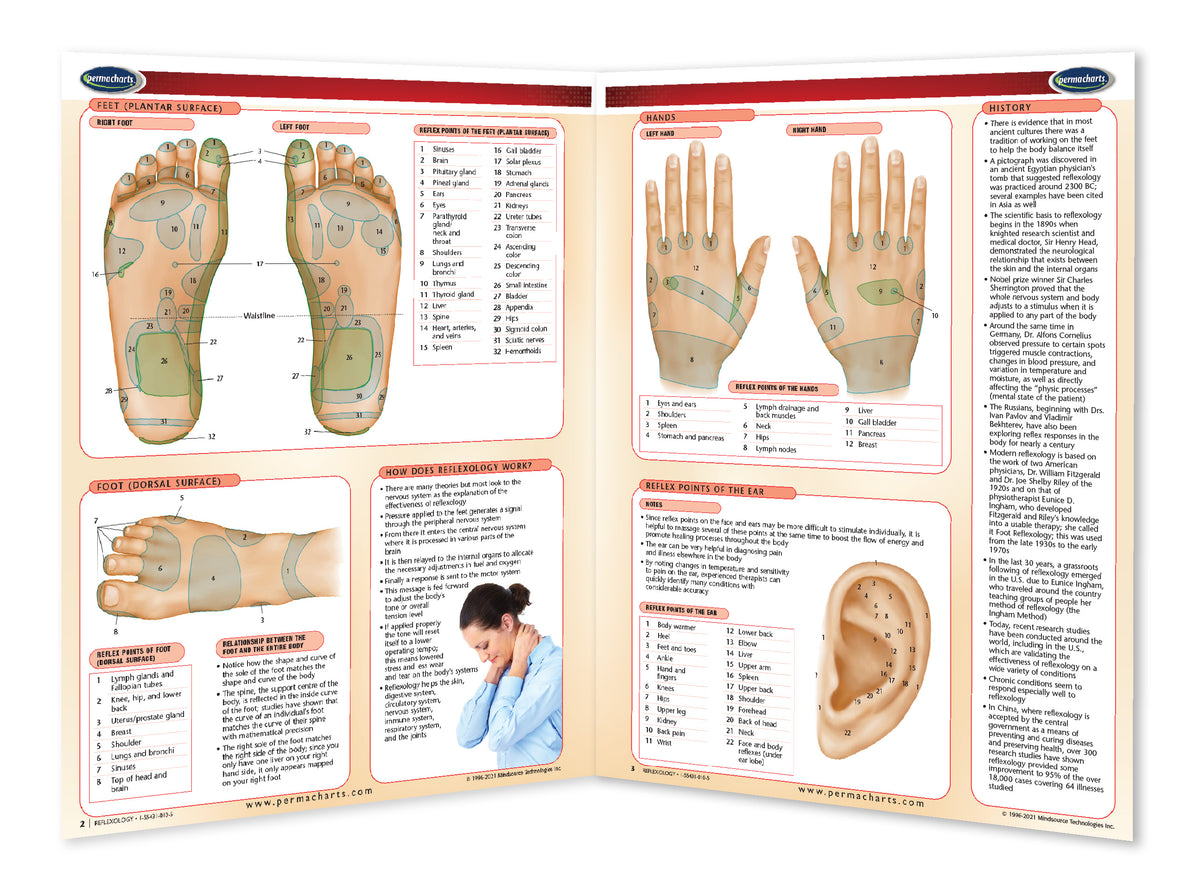 Reflexology Chart - 4-page Laminated Quick Reference Guide 8.5" x 11 ...