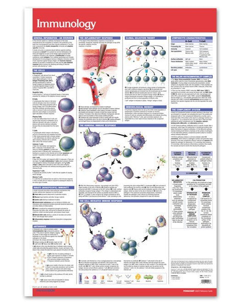 Immune System Poster